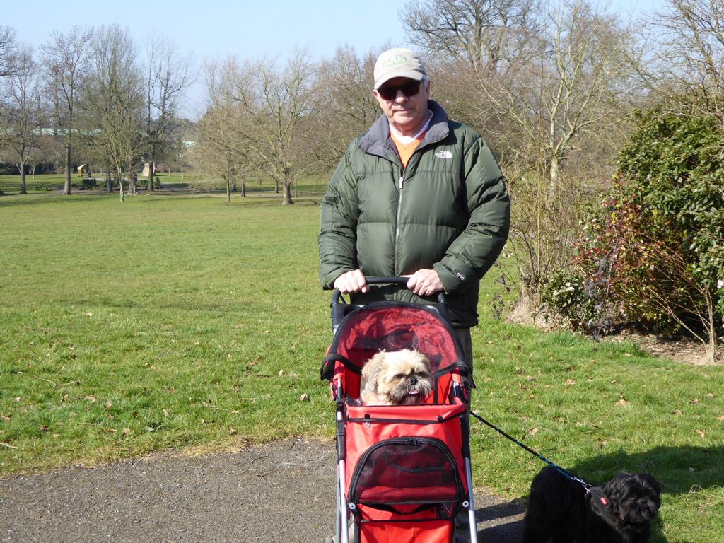 MILO’S STORY – Southern Shih Tzu Rescue